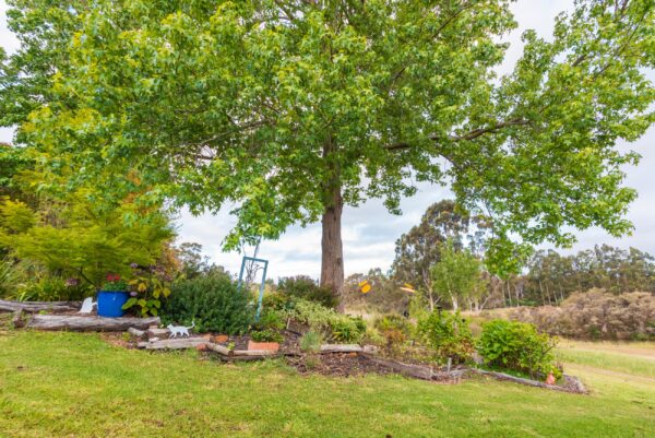 Witches Garden Tour | Chestnut Brae