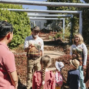 Pick your own chestnut | Chestnut Brae